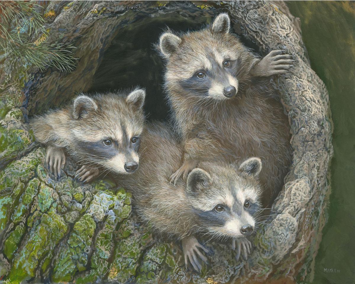 Laura Mark-Finberg's wildlife paintings featured in show opening ...