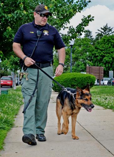Prison K-9 shifts into retirement after a decade | Local News ...