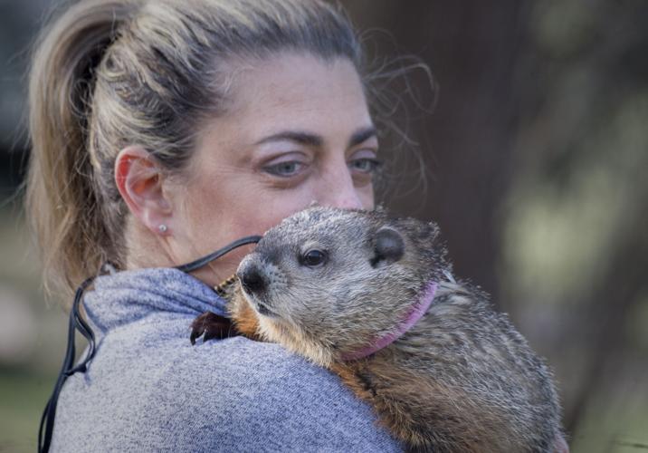 Get to know Poppy the groundhog | | lancasteronline.com