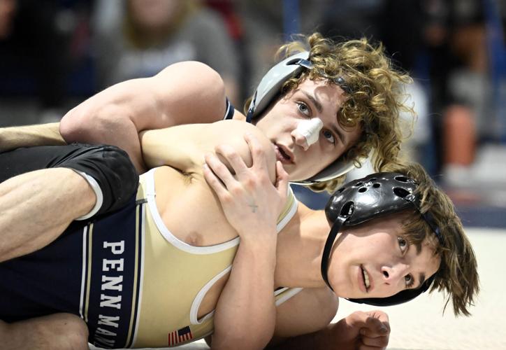 District 3 Class 3A South Central regional wrestling championships ...