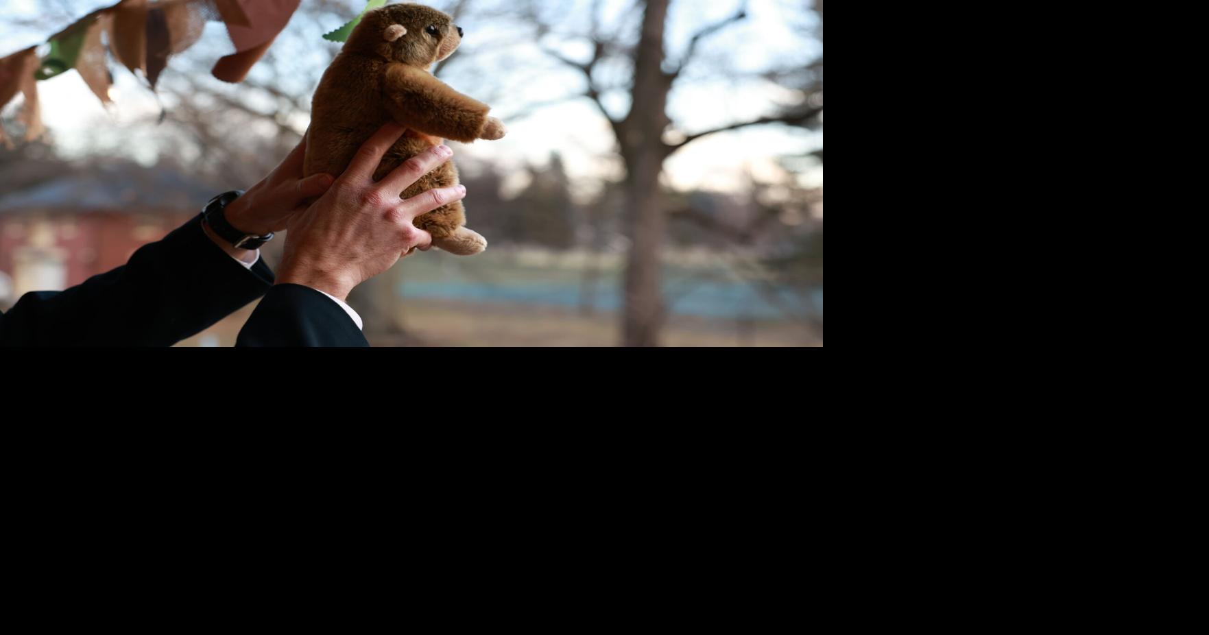 Groundhog Day 2025: 5 Lancaster County groundhogs to predict early spring or longer winter ...