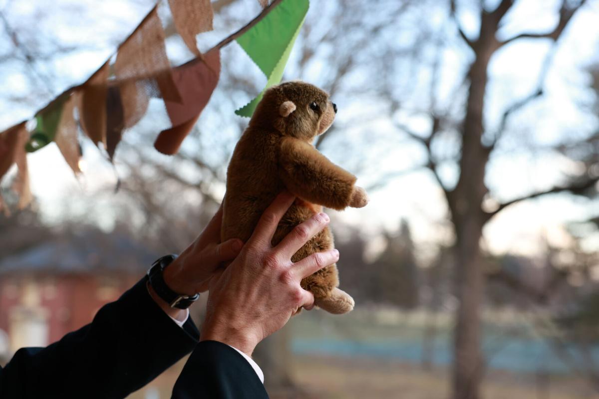 Groundhog Day 2025: 5 Lancaster County groundhogs to predict early ...