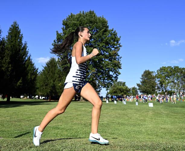 Pack mentality helps Manheim Township boys, girls run to impressive L-L ...