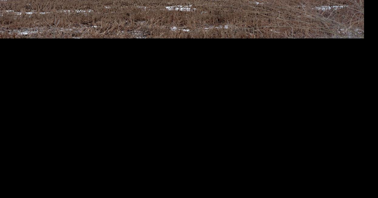 Speedwell Forge Lake intentionally drained after it filled too fast ...