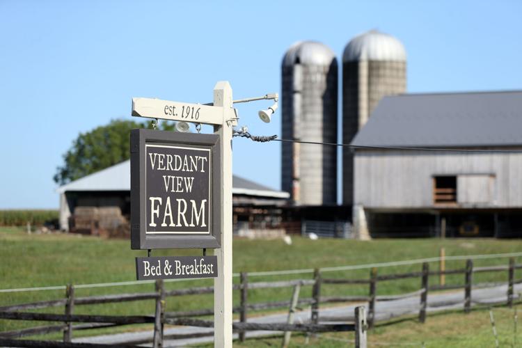 A day in the life on the farm: Kevin Stairiker visits Verdant View Farm ...