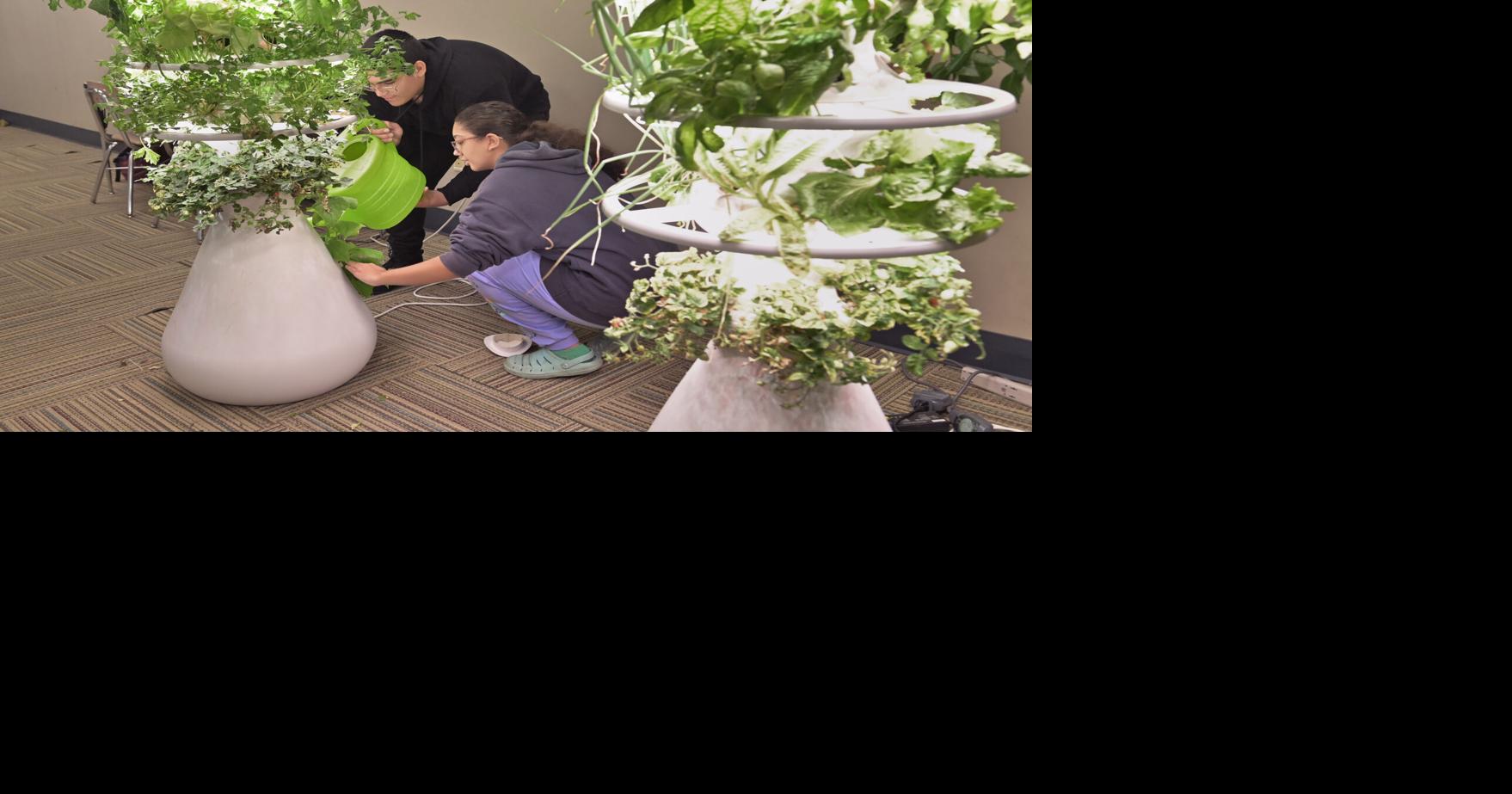 McCaskey receives first FFA charter, sets sights on growing ...