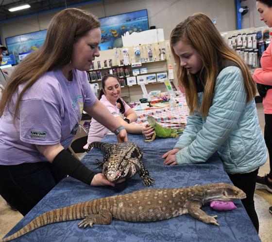 Reptilian critters come to Lancaster County, courtesy of Reptile ...