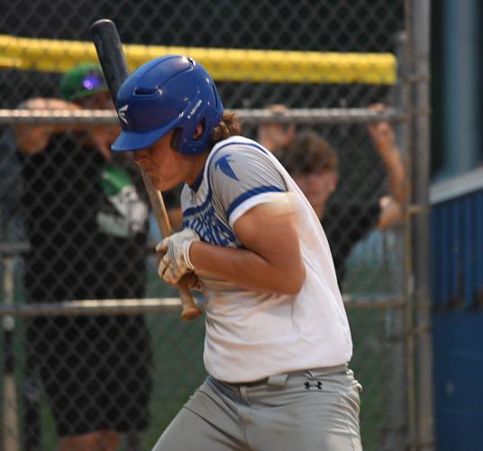 Donegal vs. Cedar Crest - LNP Tournament 14U game [photos] | Baseball ...