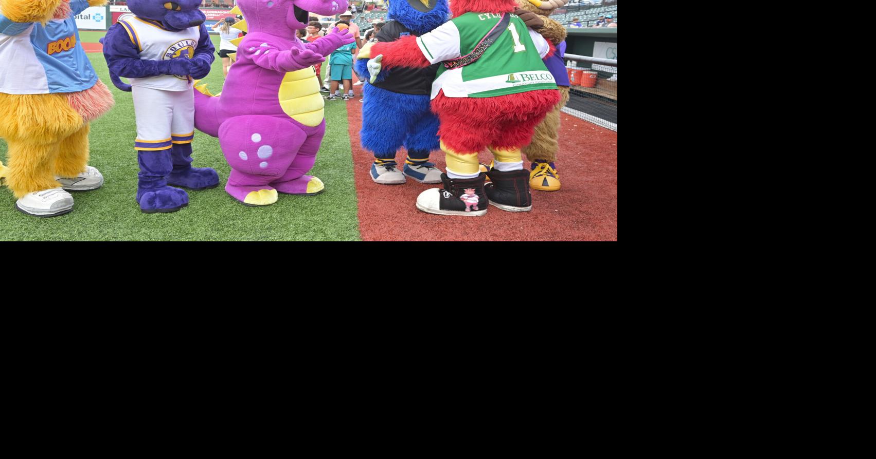 After training at camp, mascots show their stuff at Stormers game ...