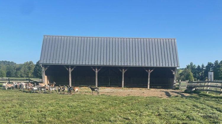 Excellent milk, patience and care create award-winning cheese | Food ...