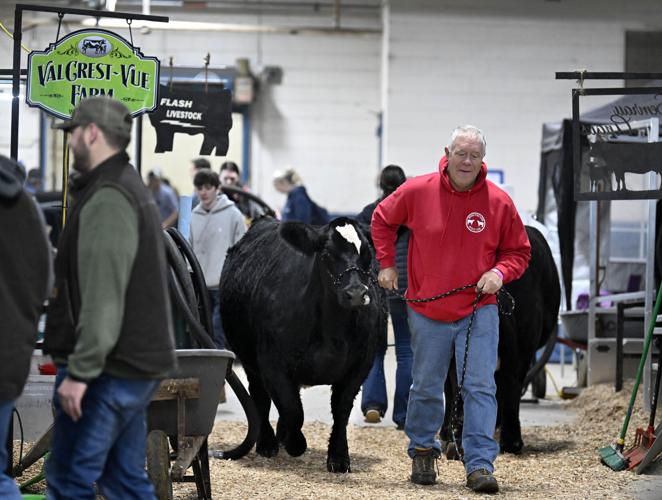 108th Pennsylvania Farm Show opening day [photos] | Local News ...