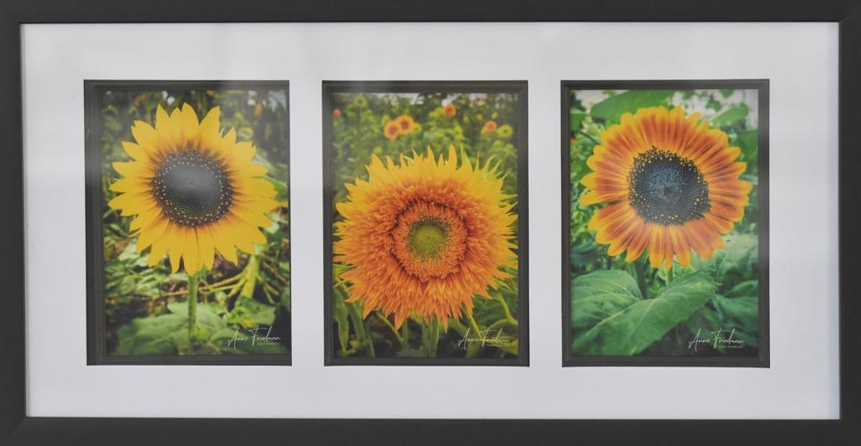 Bonnie Jess Lopane and Ann Barshinger's art collection [photos ...