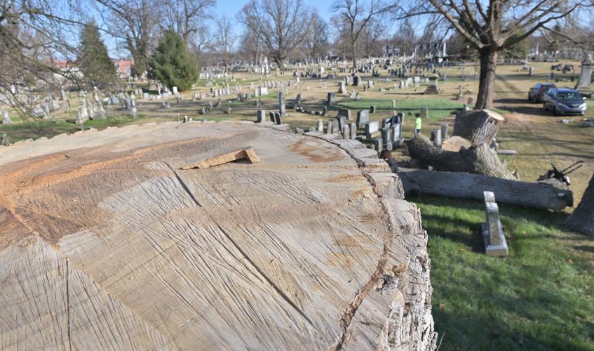 Residents gather to honor dead 200-year-old tree in Lancaster Cemetery ...