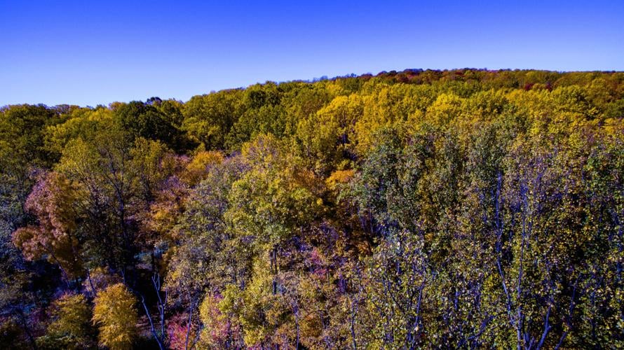 Fall foliage around Lancaster County as October comes to an end [photos] | Local News ...