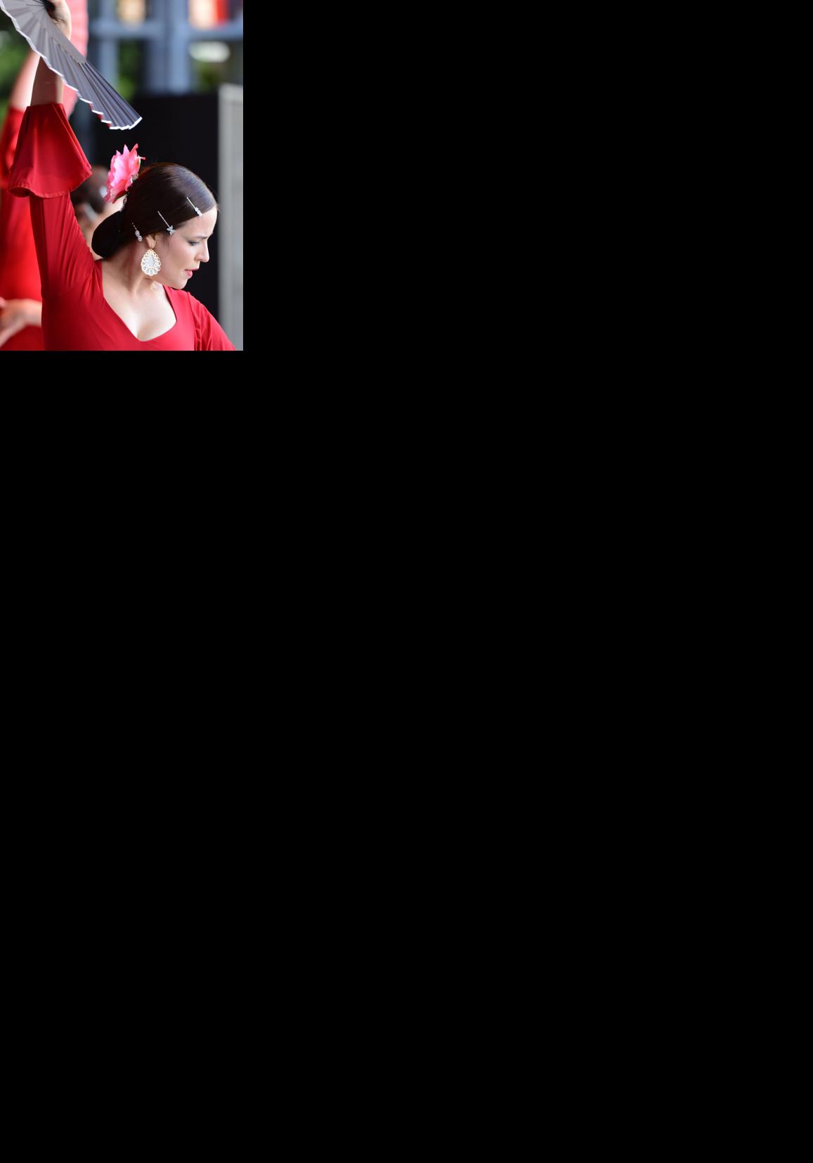 Salsa for the record: 6th annual Latin Music Fest offers food, music ...