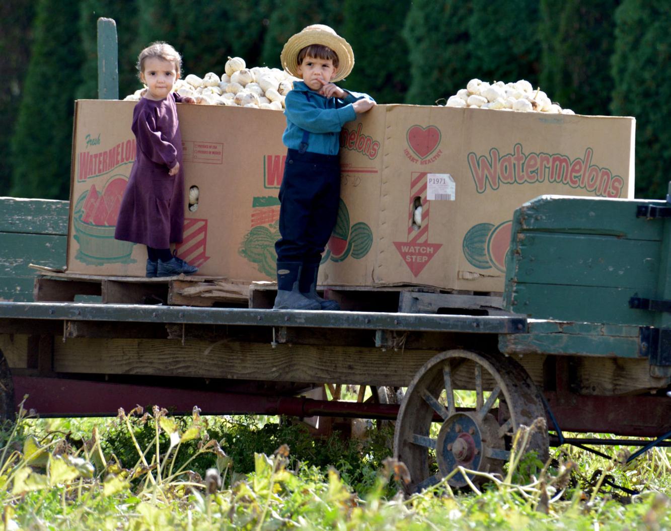 By the numbers: Amish children are people most likely to die in farm ...
