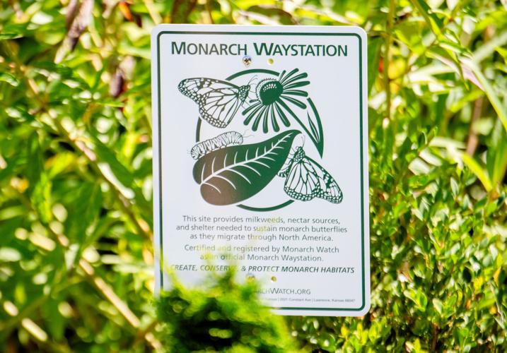 Betsy and Bill Musser's garden in Porches and Posies tour [photos ...