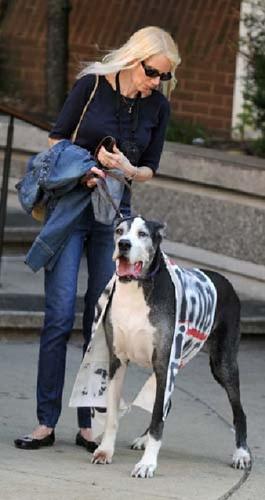 Michael Vick says he wants to make amends | News | lancasteronline.com