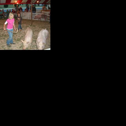 Pig contest sets stage for New Holland Farmer's Fair | Entertainment ...