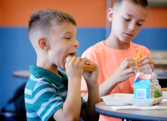 Manheim Township launches free summer lunch program at Bucher ...