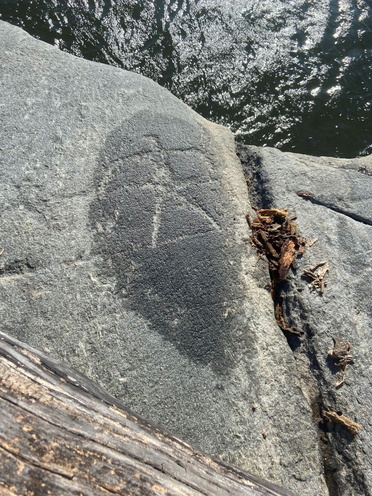 Takeaways from exploring the Susquehanna petroglyphs [Unscripted ...
