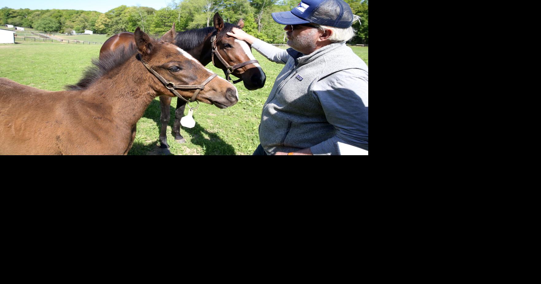 Passion in horse breeding: Thoroughbred operation alive and well at ...