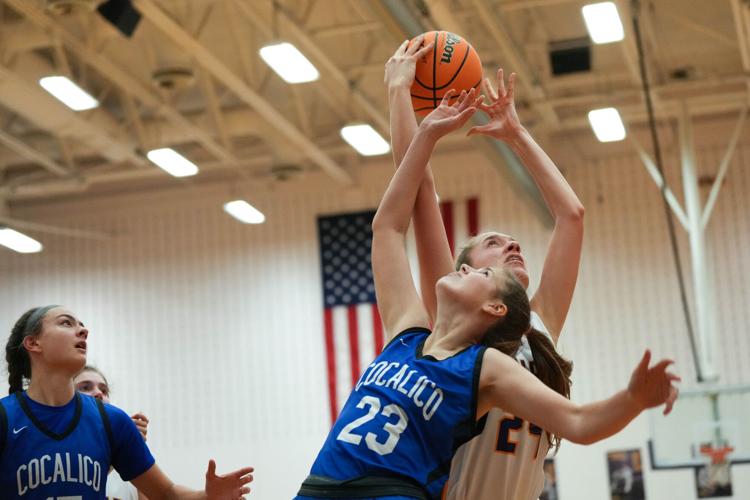 Cocalico vs. Ephrata - L-L League girls basketball [photos] | Girls ...