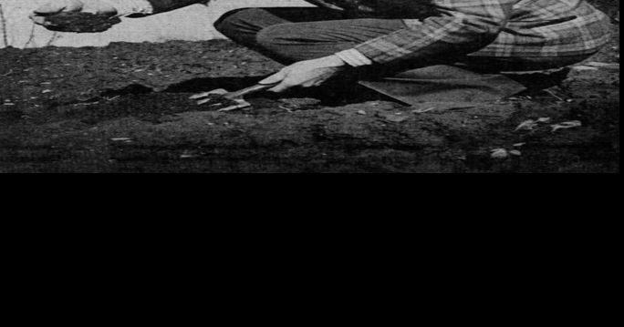 The rise, fall and rise again of community gardens; the first driving ...