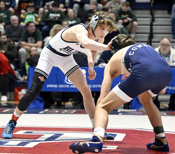 District 3 Class 3A South Central regional wrestling championships ...