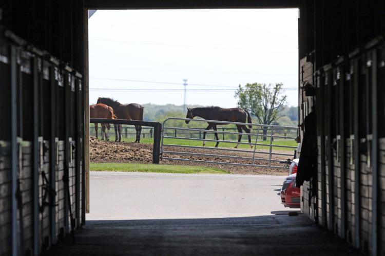 Passion in horse breeding: Thoroughbred operation alive and well at ...