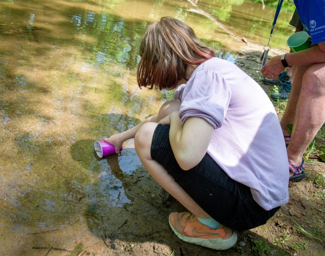 Janus School students release rainbow trout into the wild [photos ...