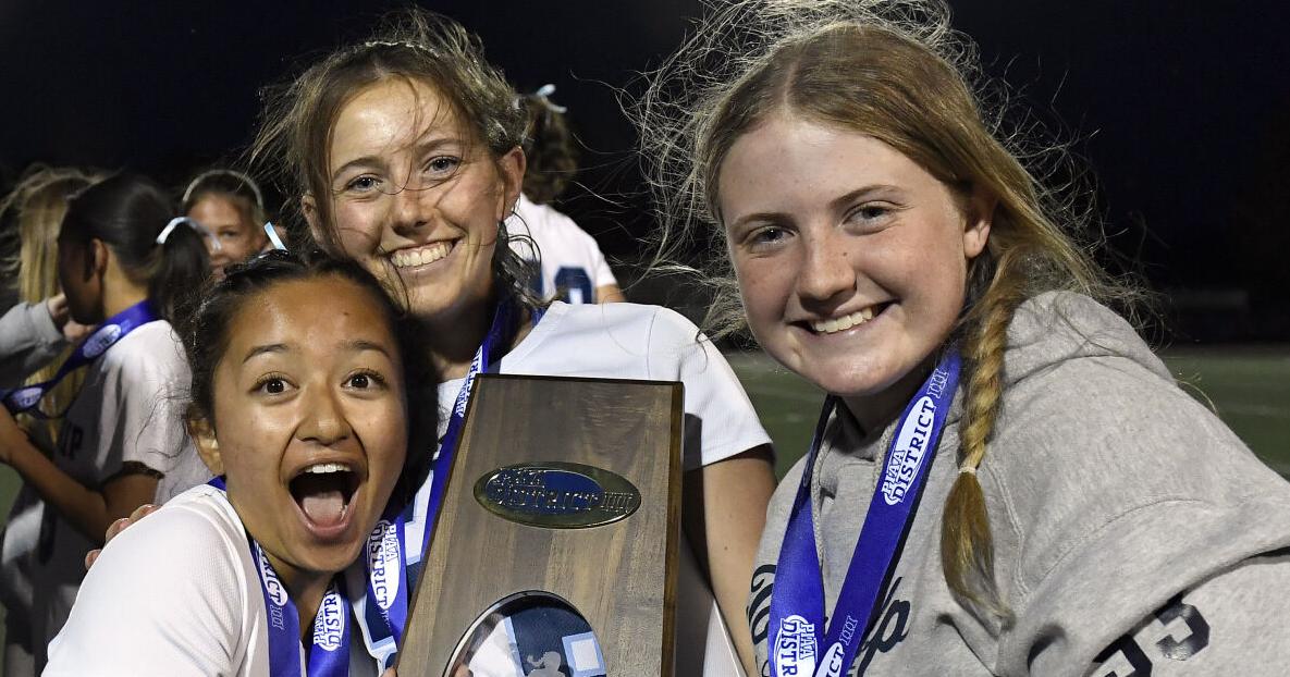 3 boys teams, 2 girls teams from L-L League ready for PIAA lacrosse ...