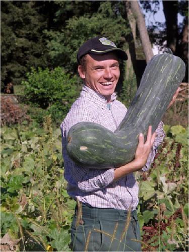 Local produce will be auctioned at Sotheby's on Thursday | Lifestyle ...