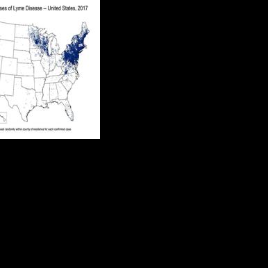 It's official: 2017 was a really bad year for Lyme disease in Lancaster ...