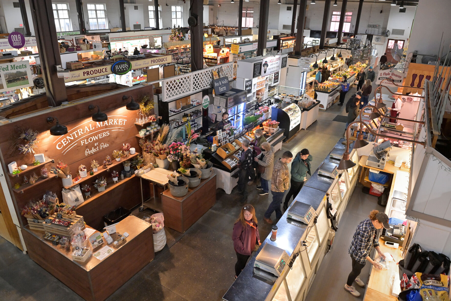 Moo Moo Subaru: Why some enthusiasts are putting cow figurines on cars ...