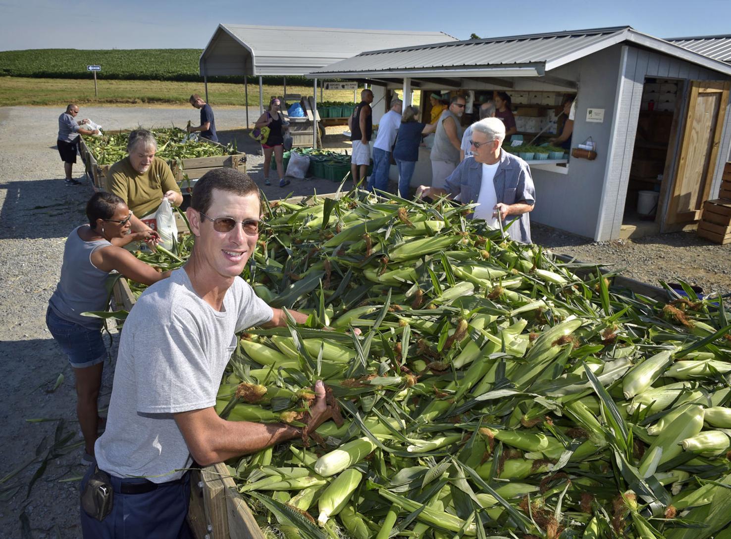 In the Spotlight: An owner of The Corn Wagon on sweet corn prep ...