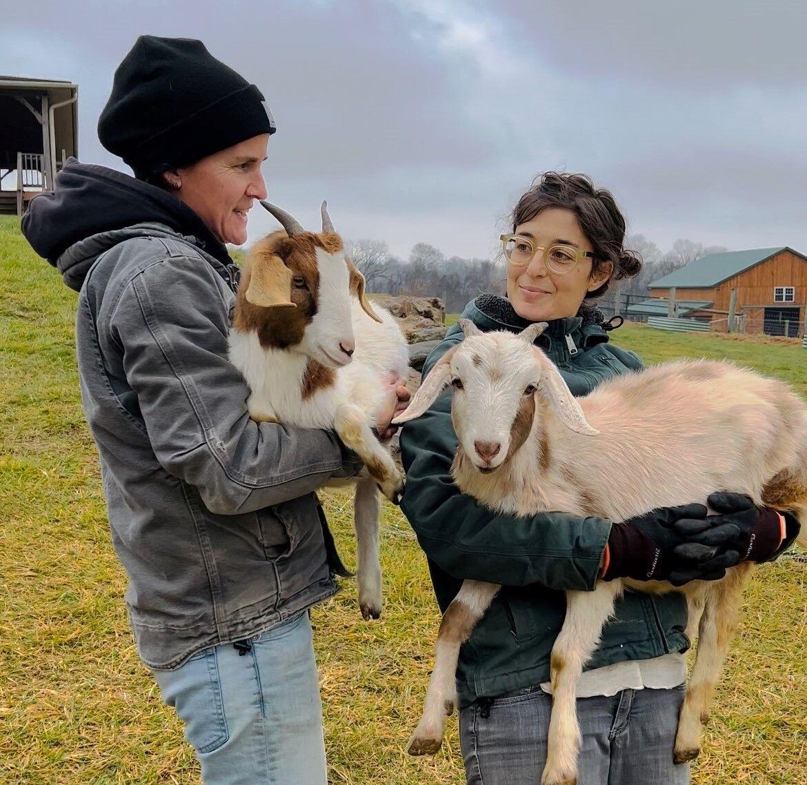 Lancaster Farm Sanctuary helps remove 300 farm animals from hoarding ...