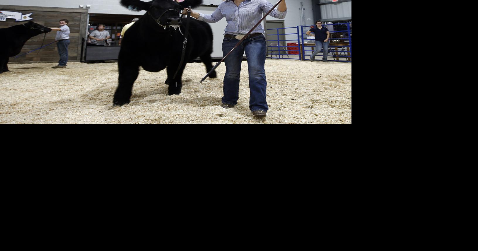 Manheim Farm Show, Lancaster County's last fair of the season, starts ...