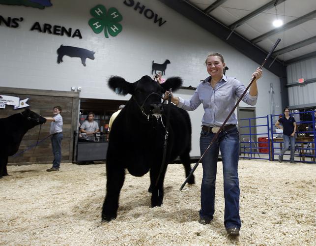 Manheim Community Farm Show [photos] | Local News | lancasteronline.com