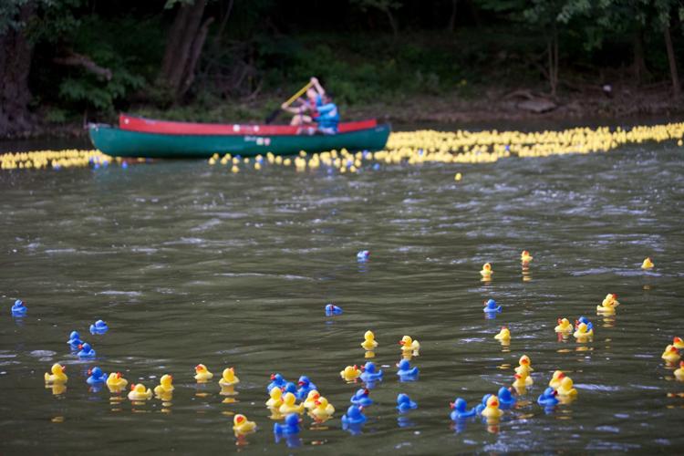 The 31st annual Schreiber Pediatric Rubber Duckie Race aims to raise ...