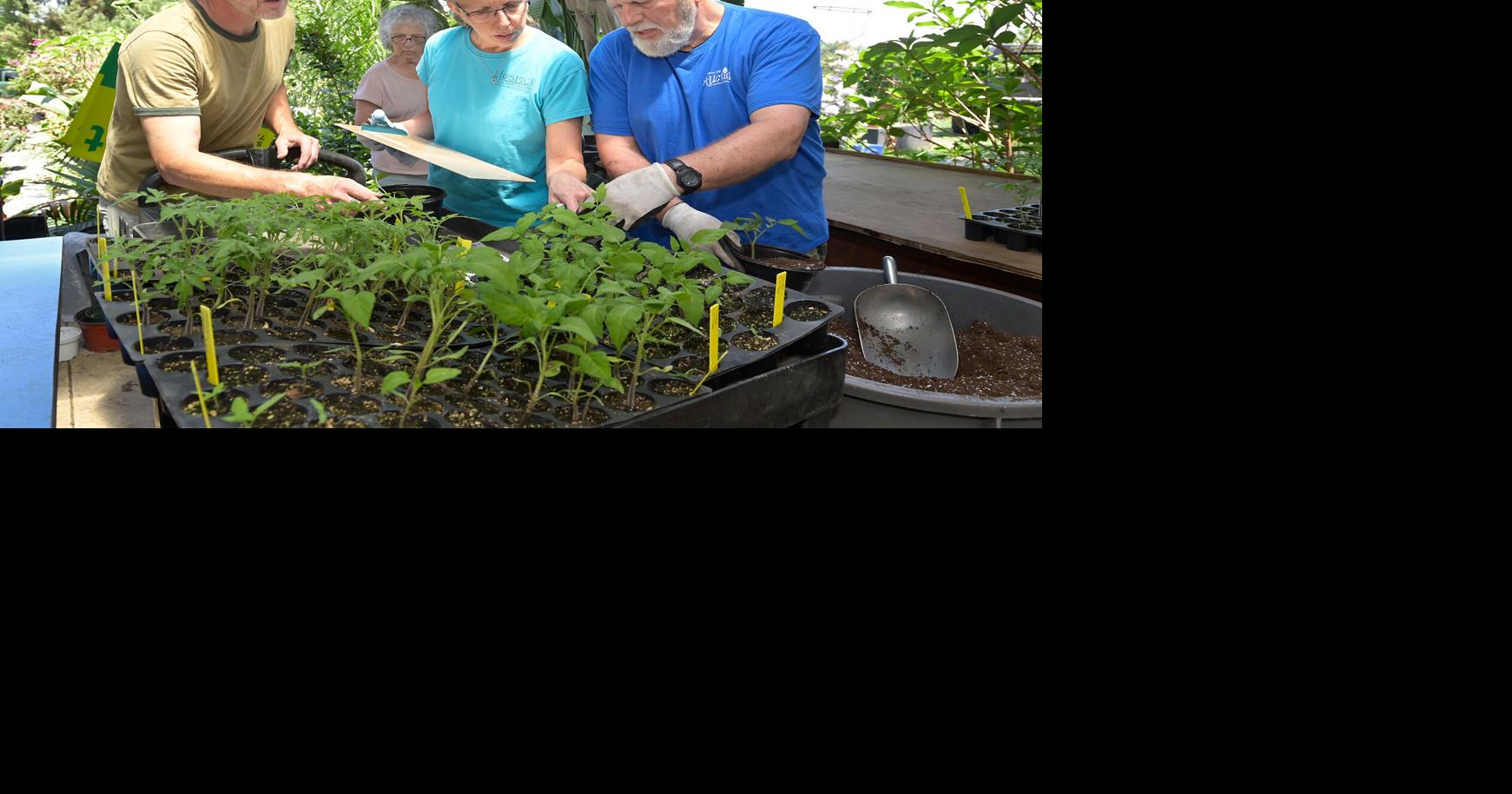 Plant sales and swaps in the Lancaster County region: Here's what's ...
