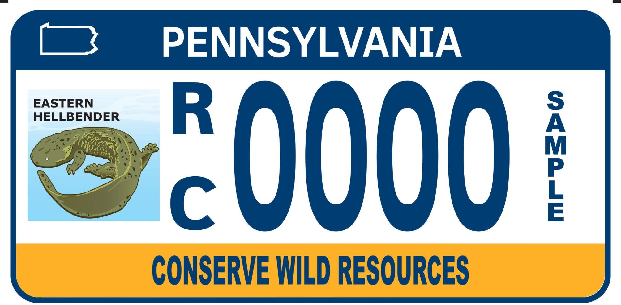 New Eastern Hellbender license plate supports efforts to save ...