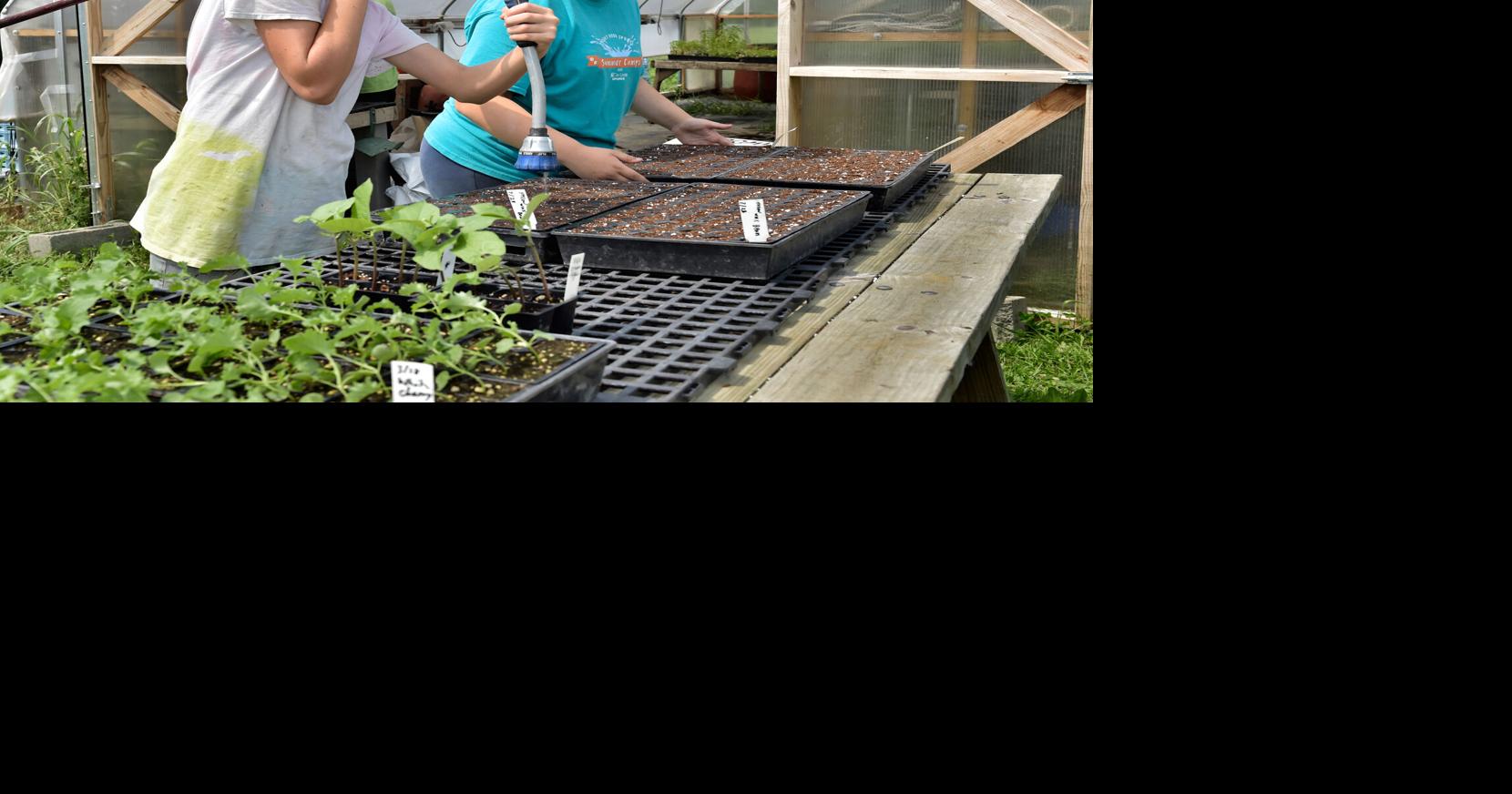 This Mount Joy farm grows vegetables and future farmers [farm series ...