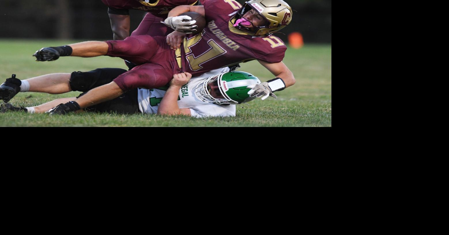 Donegal uses goal-line stand to fend off Octorara in L-L League Section ...