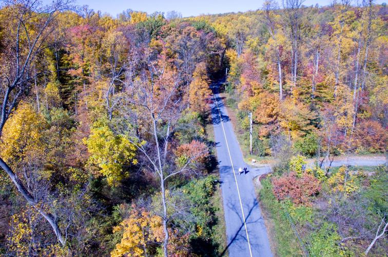 Fall foliage around Lancaster County as October comes to an end [photos] | Local News ...