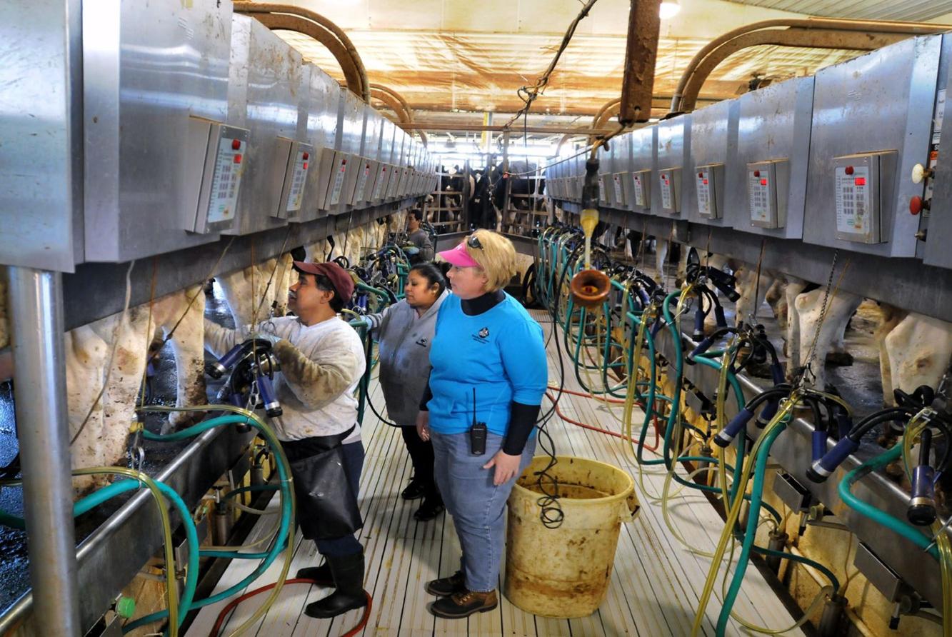 Where are Lancaster County's largest dairy farms? Are they escaping the ...