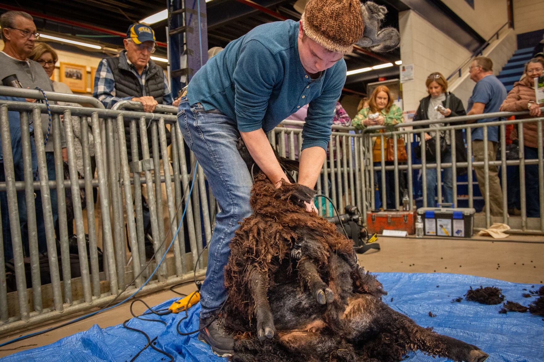 Fun rolls on at the 2024 PA Farm Show [photos] | Local News ...