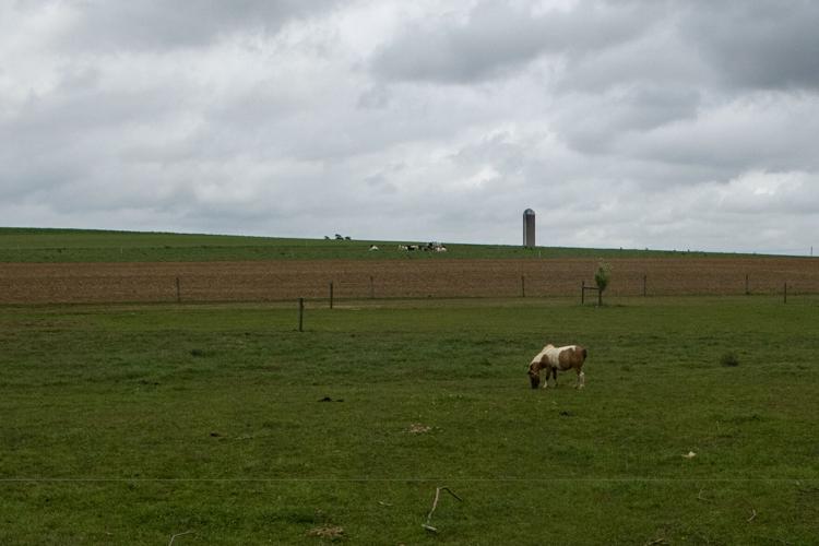 Biking through Lancaster County's farmland [photos] | Local News ...