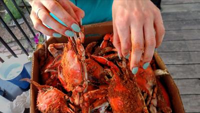 Beard Foundation honors regional crab house as one of 'America's ...