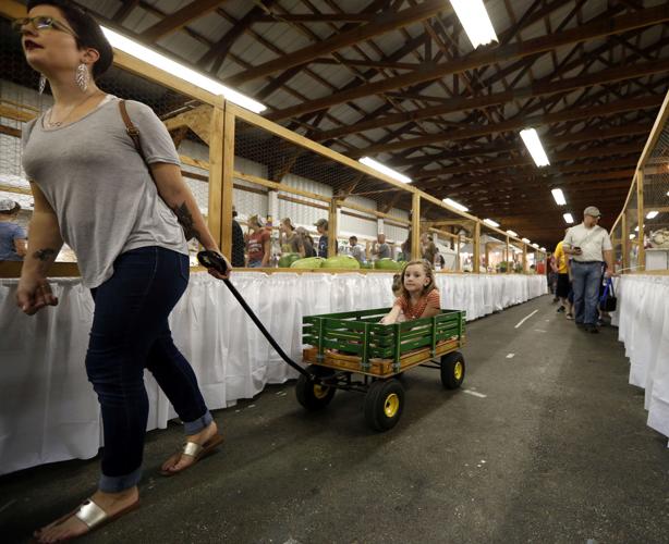 Last of the season, Manheim Farm Show continues with a business expo ...